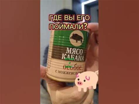 Мясо кабана #светофор #магазин #еда #шашлык #тушенка #ашан #мясо #уха # ...