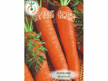Моркови Шантане | МАГАЗИНИ.net