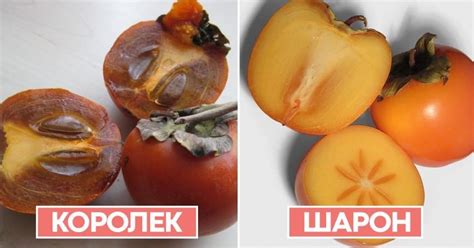 Сорта хурмы - Со Вкусом