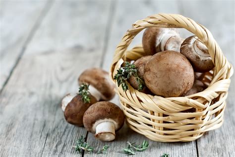 Портобелло грибы (72 фото)