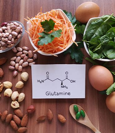 glutamine : benefits, origin, sources, properties - Therascience