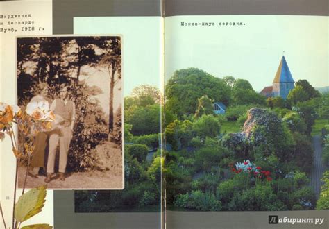 Книга: Все в саду - . Купить книгу, читать рецензии | Лабиринт