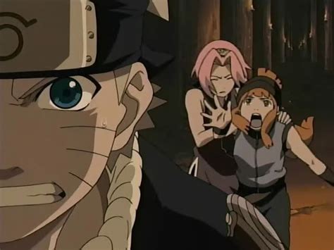 Sasame Story by Sasame Fuuma (sasame-fuuma) | Photobucket