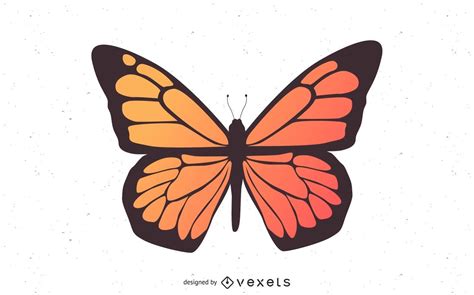 Vectores & Gráficos de mariposa para descargar