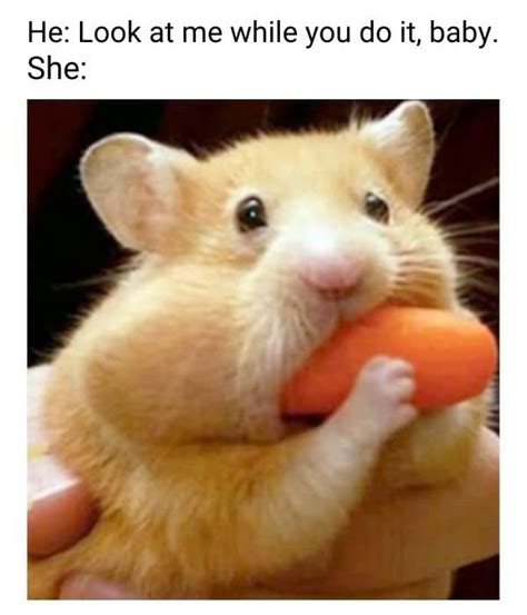 30 Funny Horny Memes To Raise The Temperatures In 2023