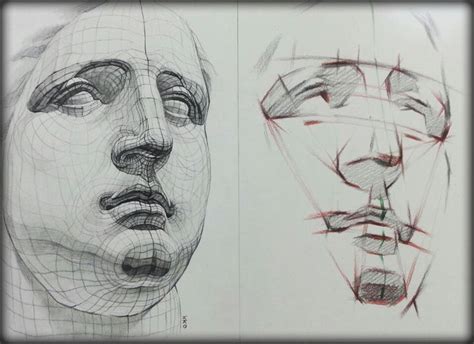 свет и форма | Anatomy art, Sketches, Portrait art