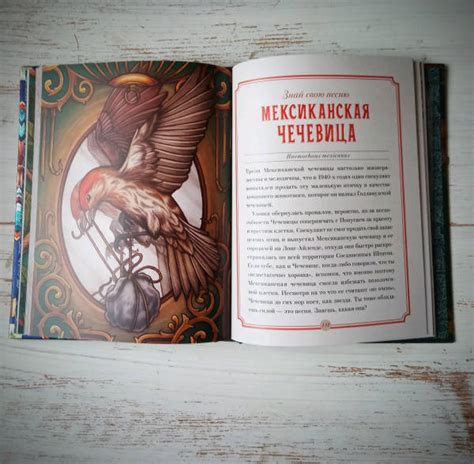 Книга: Магический бестиарий. Вдохновляющие послания и ритуалы от 36 ...