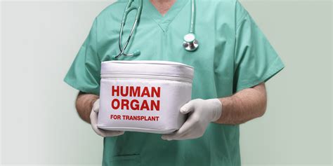 What You Need To Know About Organ Donations