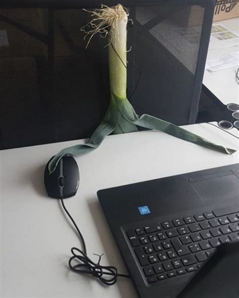 ich🌱iel : r/ich_iel