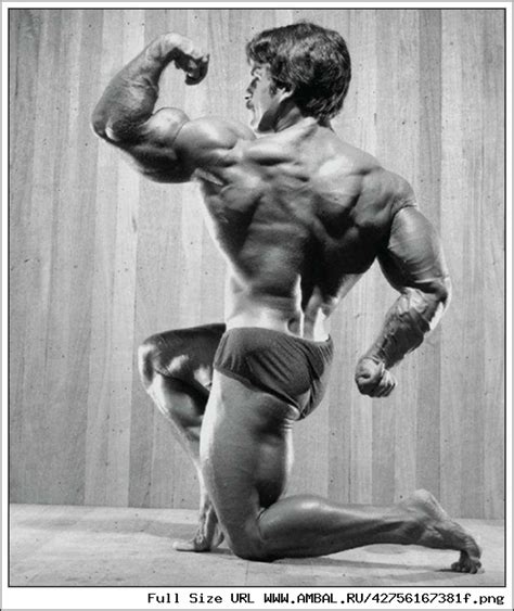 Майк Ментцер (Mike Mentzer), фотографии, биография, соревнования ...