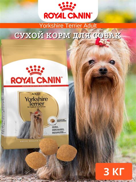 Сухой корм для собак породы йоркширский терьер старше 10 месяцев Royal ...