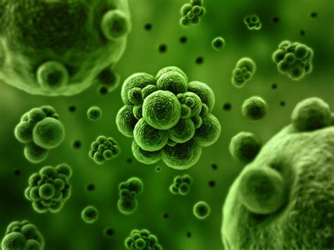 Biologische Betreuung – Bioenergie grünes Deutschland