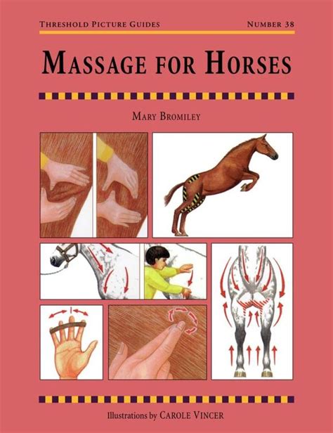 MASSAGE FOR HORSES (eBook) | Horse massage, Horse therapy, Horse books