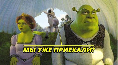 Ітогі подвєдьом, або Як Зе провів цими святами - Тверезий погляд