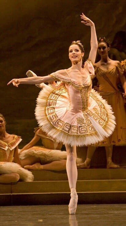 15. Роза Darcey Bussell, Дарси Басселл английская. | Оля Старцева | Дзен