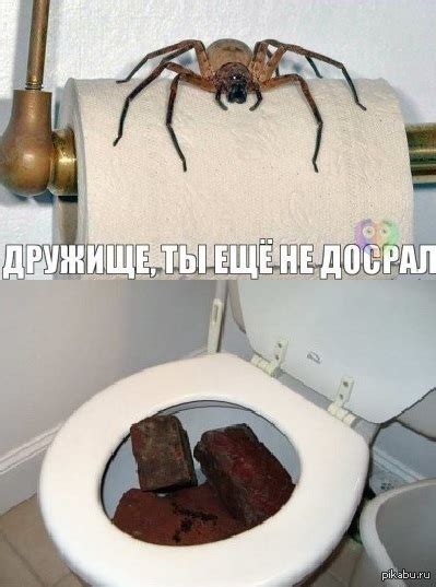 Не торопись) | Пикабу