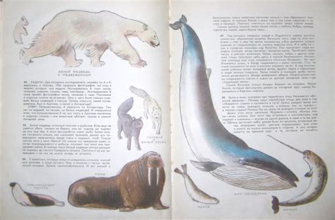 Свирин А. Ляшенко М. Книги знаний: kid_book_museum — LiveJournal