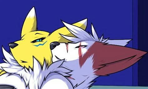 Feudal, the Zangoose (@FeudalScars) | Twitter
