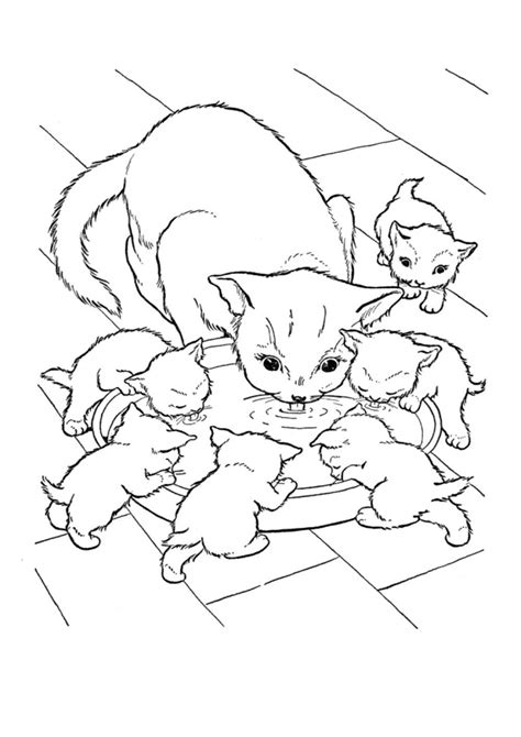 Раскраска Кошка с котятами пьют молоко распечатать - Коты, кошки, котята
