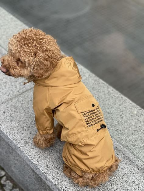 Дощовик для собак Dogs Bomba золотий 2р від продавця: BSP Shop – в ...