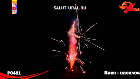 РС481 Фонтан Вася василек - YouTube
