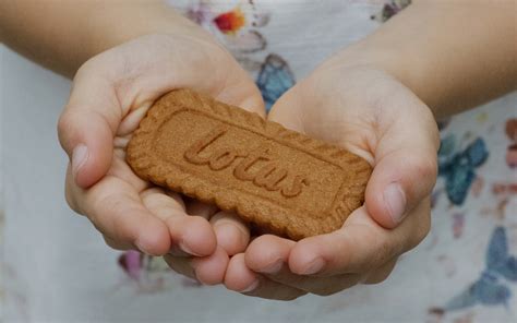 Biscoff | Lotus Biscoff