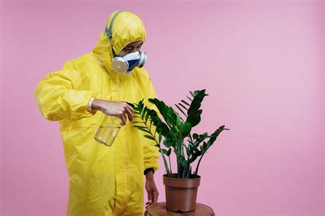 Стайни растения, които не изискват специални грижи | Всичко за жената