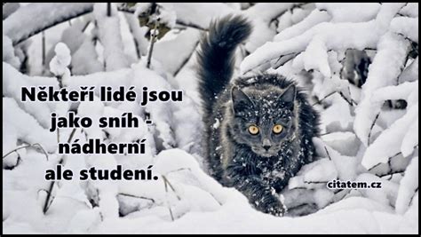 sníh | Citátem.cz