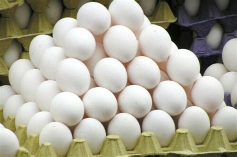 Цены на яйца в России оказались самыми низкими в мире Amur.Life