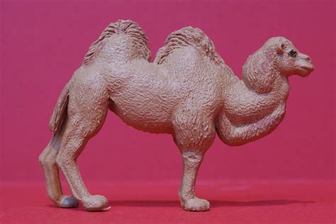 SOLD Timpo Plastic Zoo Animals - Bactrian Camel - Herald Toys and Models