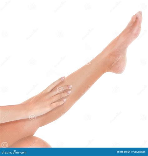Caress stock photo. Image of health, smooth, hand, apply - 21531864
