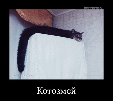 Демотиватор Котозмей