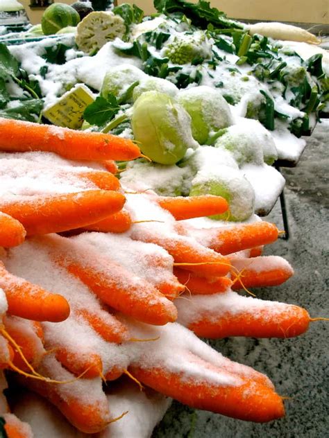 Karotten einfrieren & auftauen - so geht's richtig | foodwissen.de
