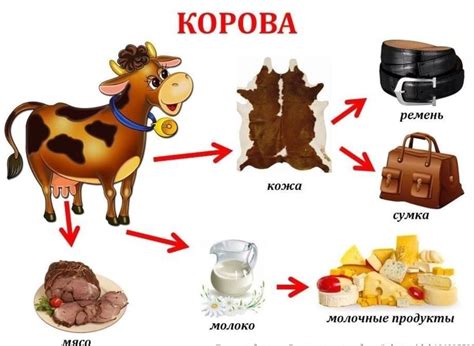 Карточки-схемы "Чем полезны домашние животные" | Animal activities ...