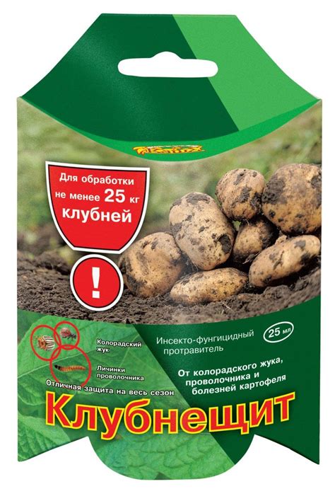 Средство от проволочника при посадке картофеля: как уберечь и чем ...
