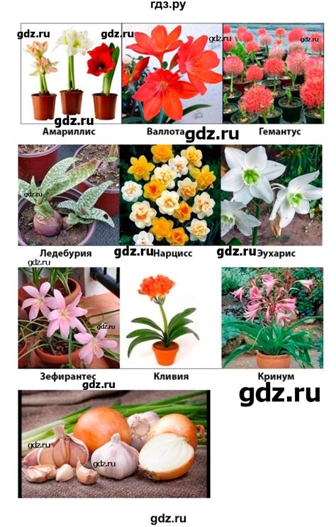 ГДЗ параграф 20 биология 7 класс Пономарева, Корнилова