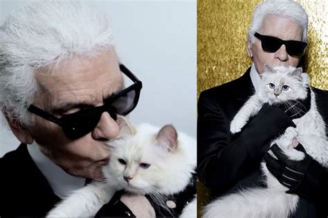 Choupette ha generado una batalla legal - Retratos