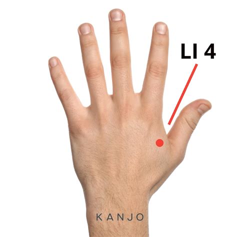 Acupressure for High Blood Pressure#N#– Kanjo