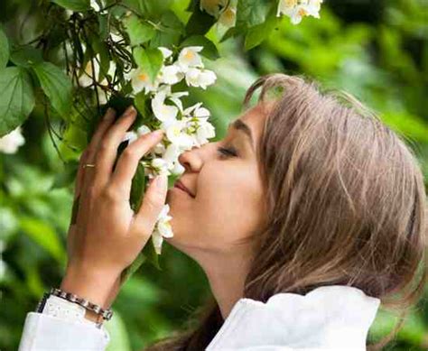 7 Spiritual & Magical Properties of Jasmine (Love, Prosperity ...