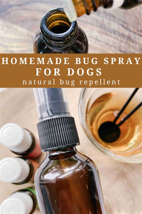 Dog bug spray – Artofit