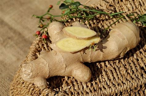 Ginger, dzindzer, djumbir, isiot, ingver (slovenacki), » Prirodna Medicina