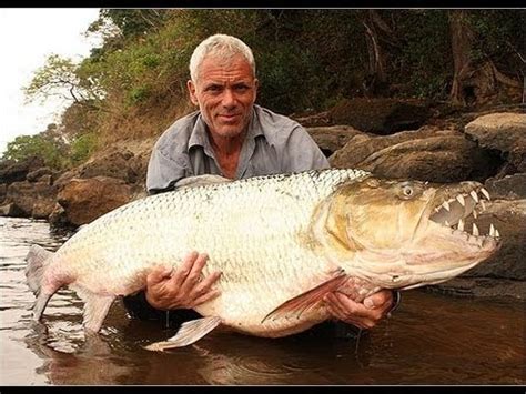 Самая большая рыба! Вот такая большая рыба водится в реках. - YouTube