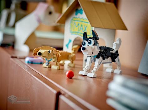 LEGO® 31137-1 - LEGO Creator 31137 Schattige honden - Steentjeswereld