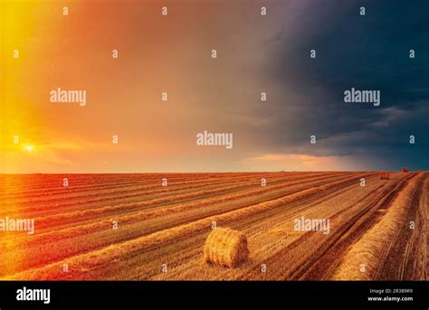 Summer Field Meadow Mit Heuballen Unter Sonnenlicht Bei Sonnenuntergang ...