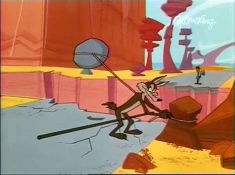 Roadrunner And Wile E Coyote