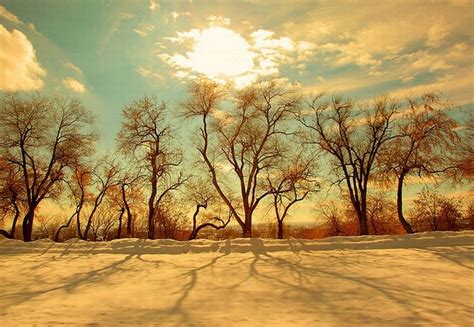 Фото Солнечный день