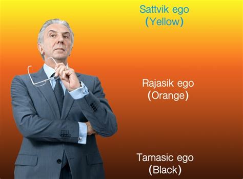 What is Ego ? (Ego definition) - Hindu Janajagruti Samiti