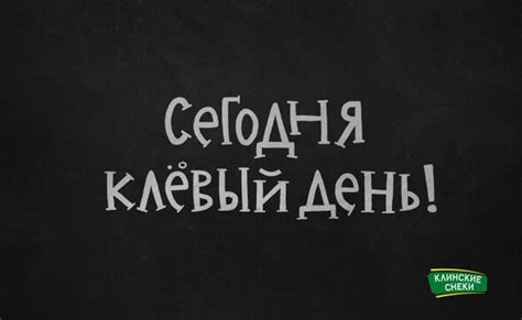 Ребрендинг Клинских снеков | What the Pack