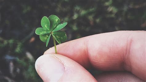How to attract good luck: 4 secrets backed by research | Ladders