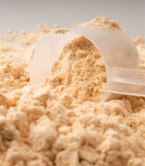 Nutragen Replacement - Buy Best Plant Protein Powder - Heuristic ...